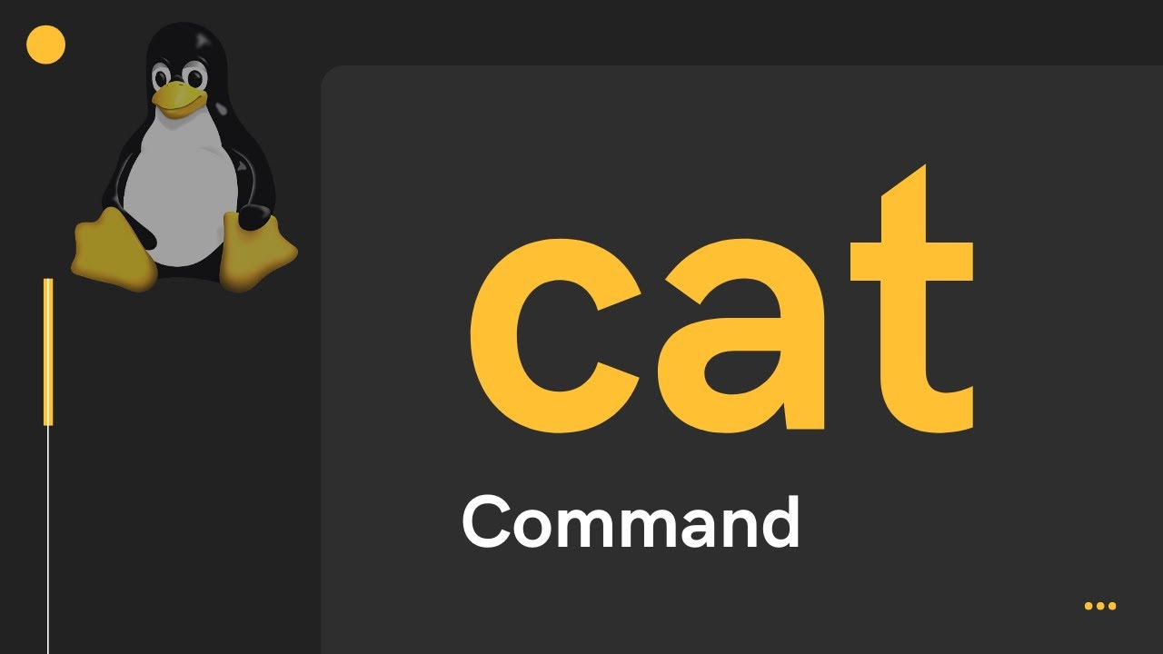 Linux cat Command | Hindi - YouTube
