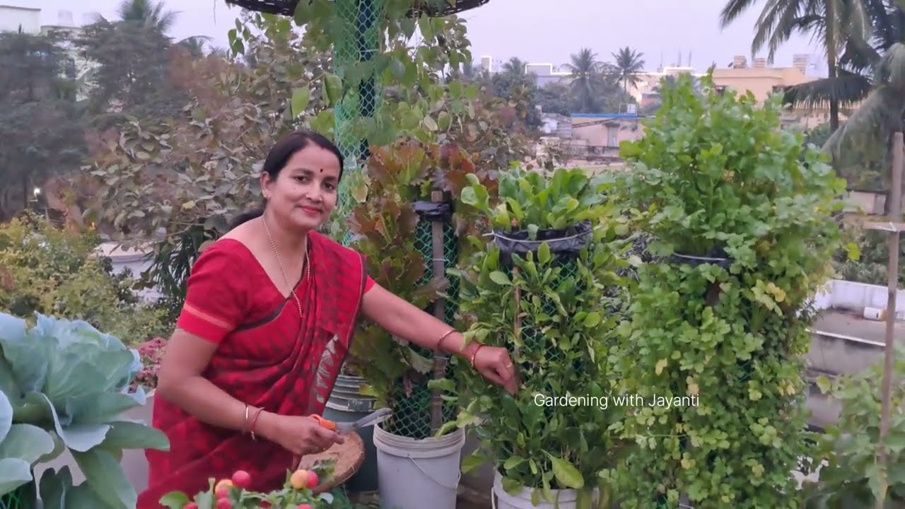 Flower Towers of my Garden | Mint Tower | Vegetable Towers | Tower ...
