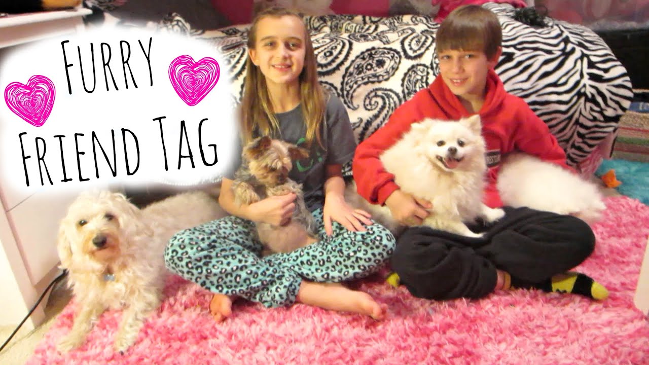 FURRY FRIEND TAG ~ CUTEST DOGS EVER!! - YouTube