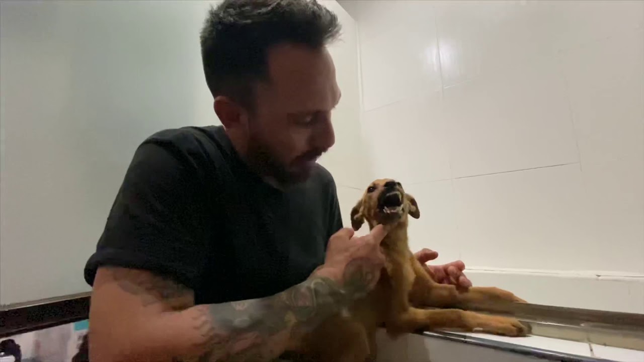 Mandíbula rota / broken jaw - YouTube