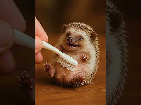 Ticklish Hedgehog Can't Stop Laughing 🦔🤣