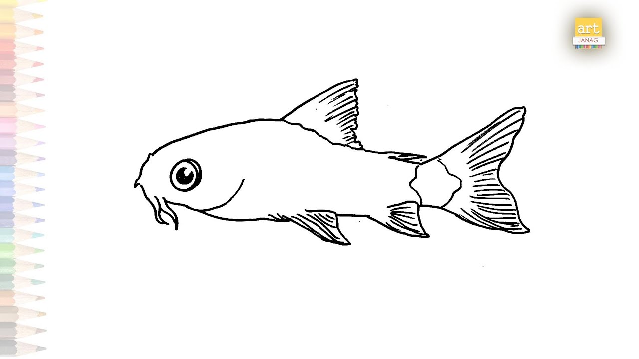 Pygmy Corydoras drawing | Fish drawing tutorials | How to draw Pygmy ...