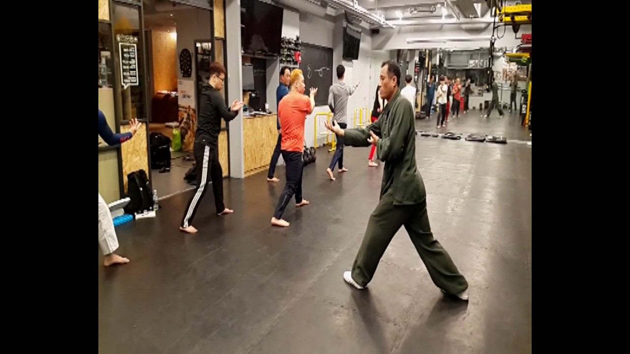 팔괘장 , 八卦掌, Lu shui tian baguazhang is" bagua titui "(八卦 踢腿) - YouTube