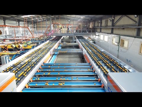 Elisam GT Citrus high-speed optical grader