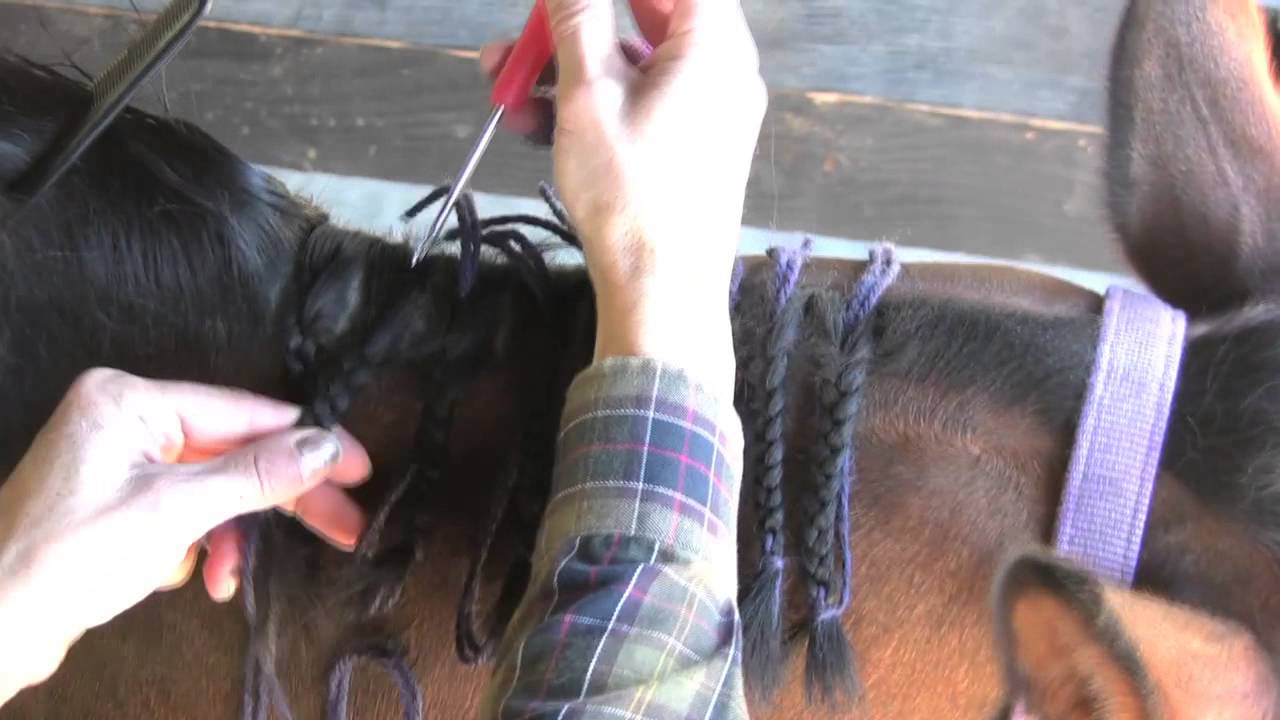Learn How To Braid A Horse's Mane - YouTube