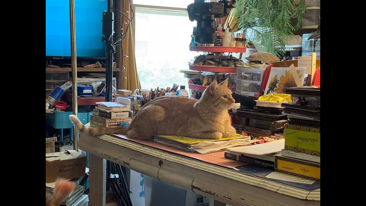 Frankie’s exploring my cleared work table. - YouTube