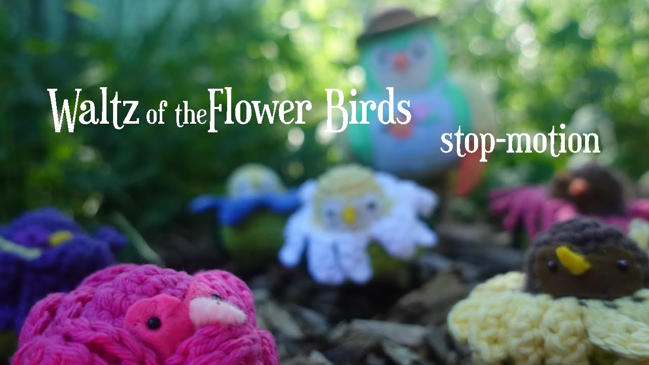 Waltz of the Flower Birbs || Stop Motion Reveal of my Newest (and ...