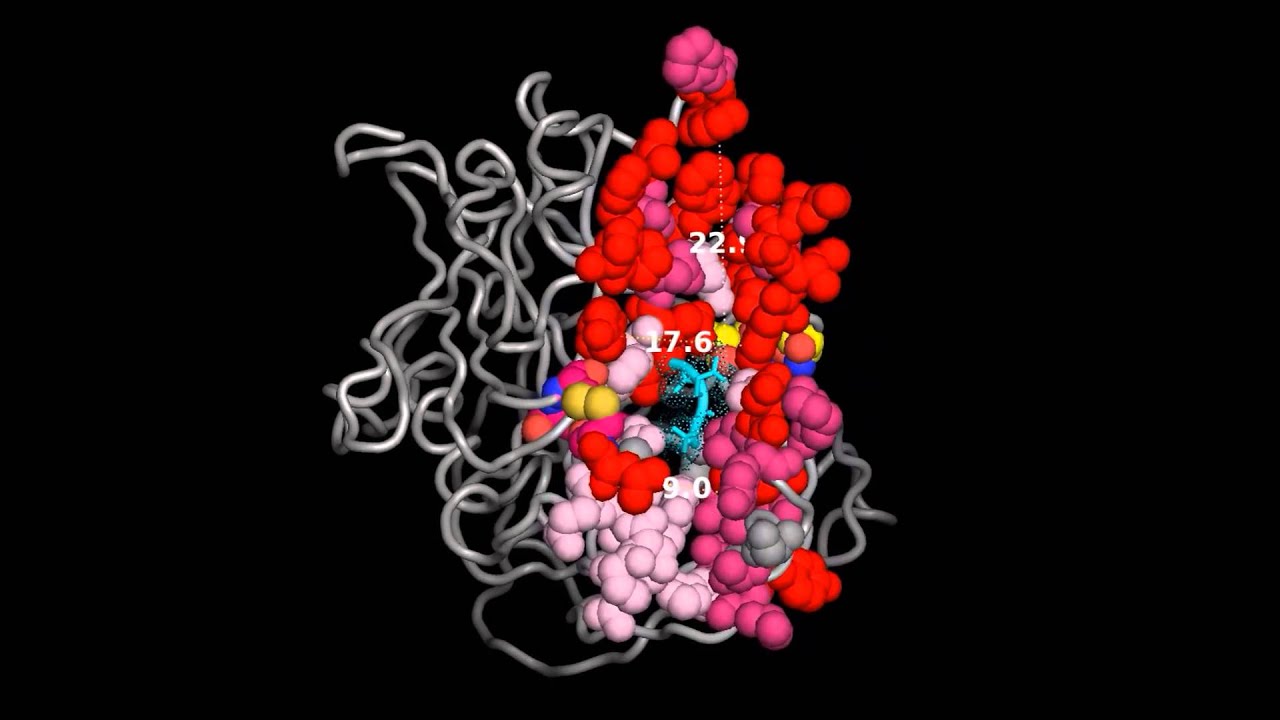 Journal of Lipid Research : A robust all-atom model for LCAT generated ...