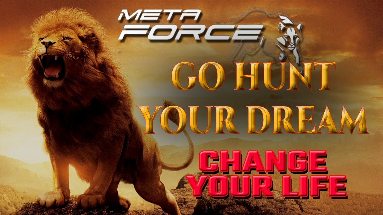 What is meta force - YouTube