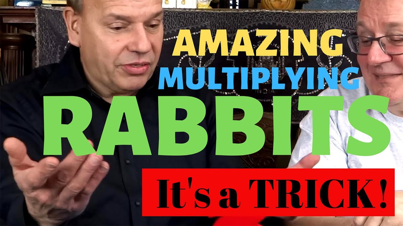 Multiplying Rabbits Set - Does a Rabbit Come From an Egg? - MagicTricks ...