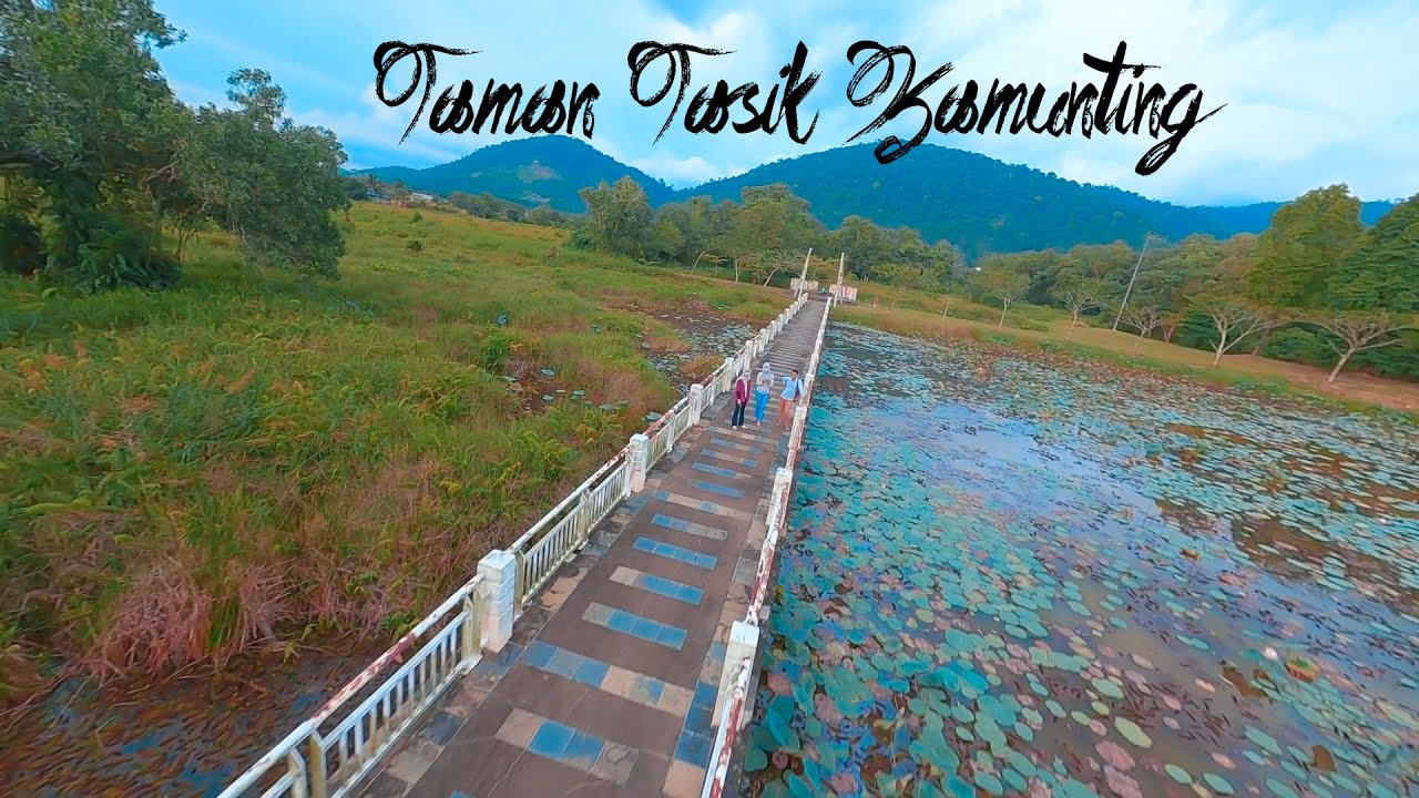 Taman Tasik Kamunting - FPV Drone Footage - Betafpv Pavo30 - YouTube