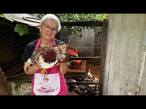 CARNEANDO UMA GALINHA CAIPIRA 🐓 