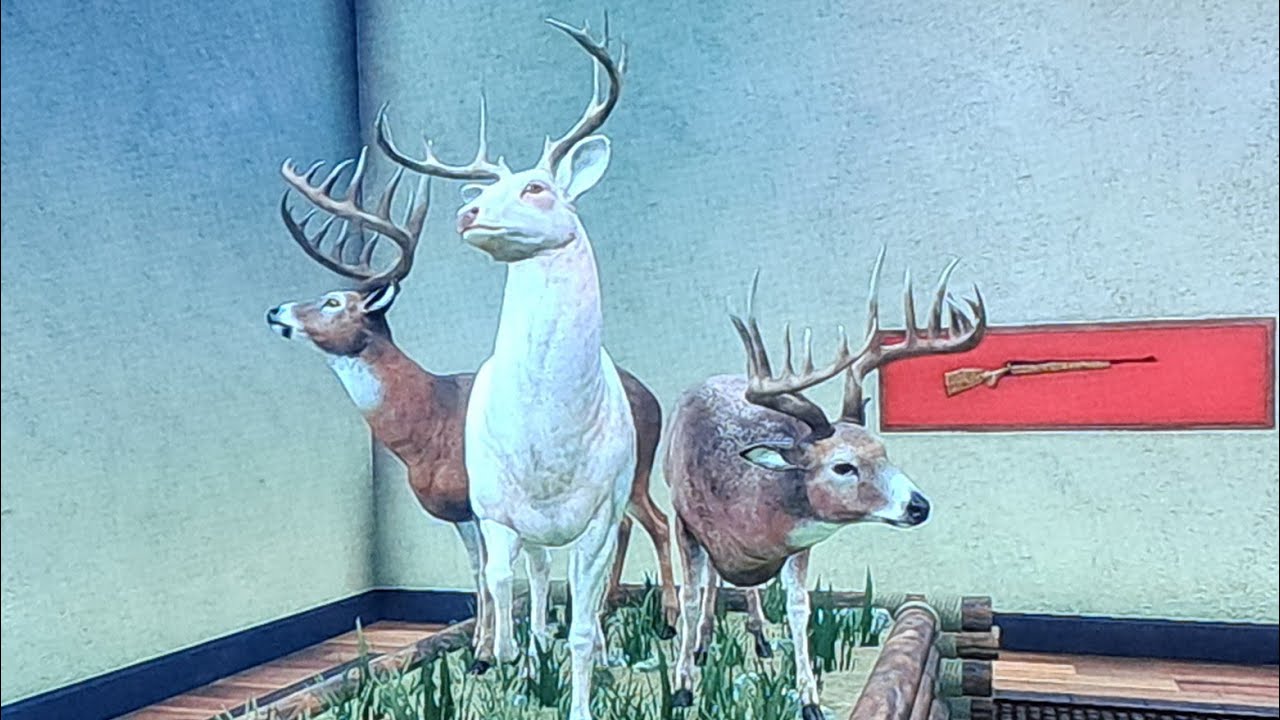 Diamond & Albino Whitetail Buck - YouTube