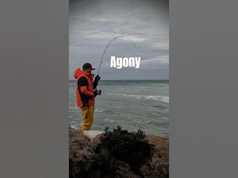 Agony | Sea Bass Fishing | Out For A Cast #seabassfishinguk - YouTube