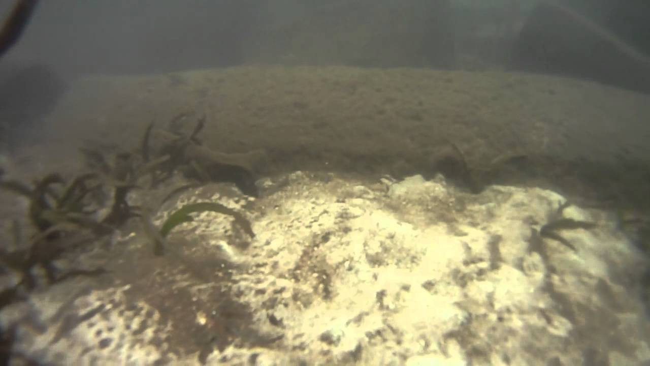 Micronesia Nan Mado Temple view from the Water1 - YouTube