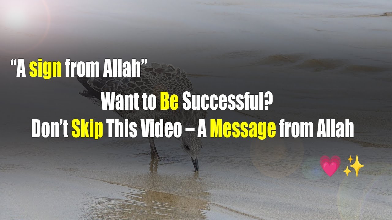 Want to Be Successful? Don’t Skip This Video 💗 A Message from Allah ...