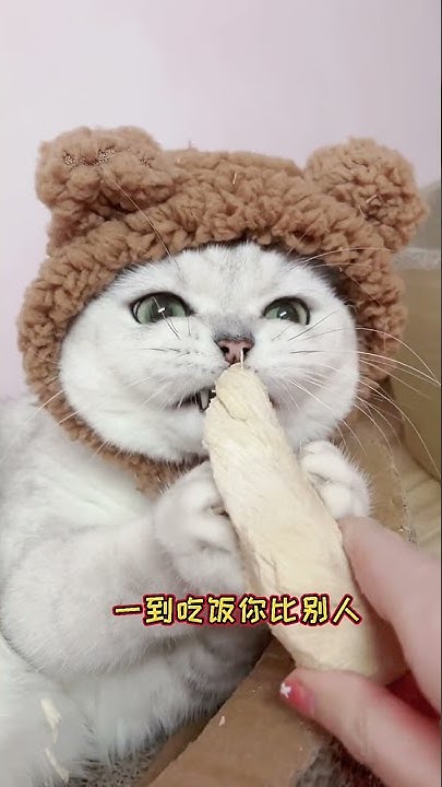 【大圆子】你知道你为什么瘦不了吗?shorts Youtube
