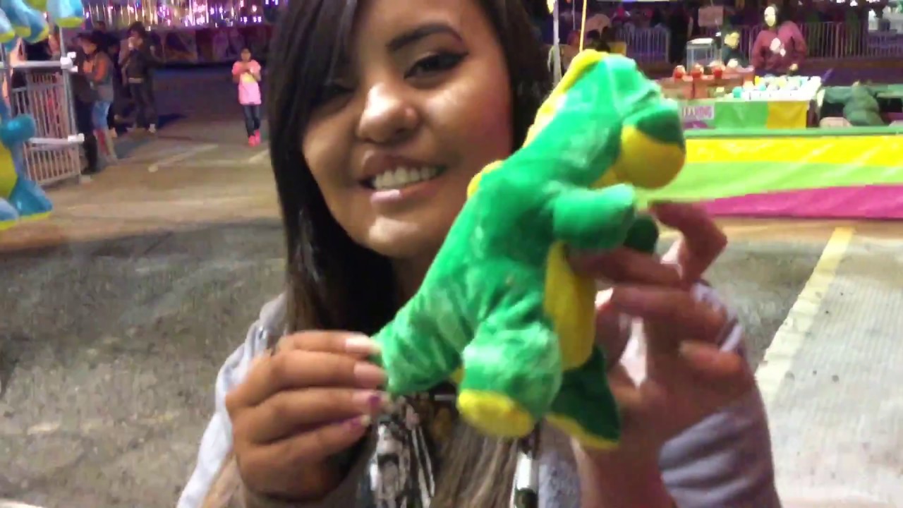 Vlog #12: Winning a Goldfish at the Fair - YouTube