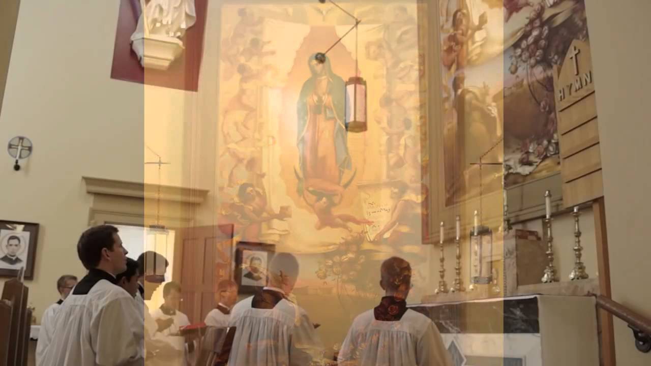 Salve Regina (Solemn Tone) FSSP - YouTube
