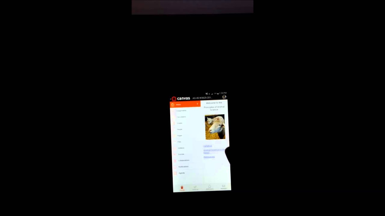 How To Use The Canvas App YouTube how-to-use-the-canvas-app-youtube