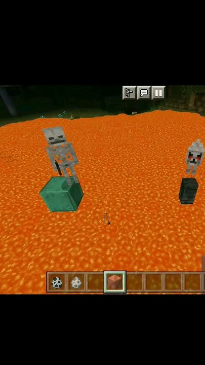 Skeleton Vs Wolf In Minecraft Youtube