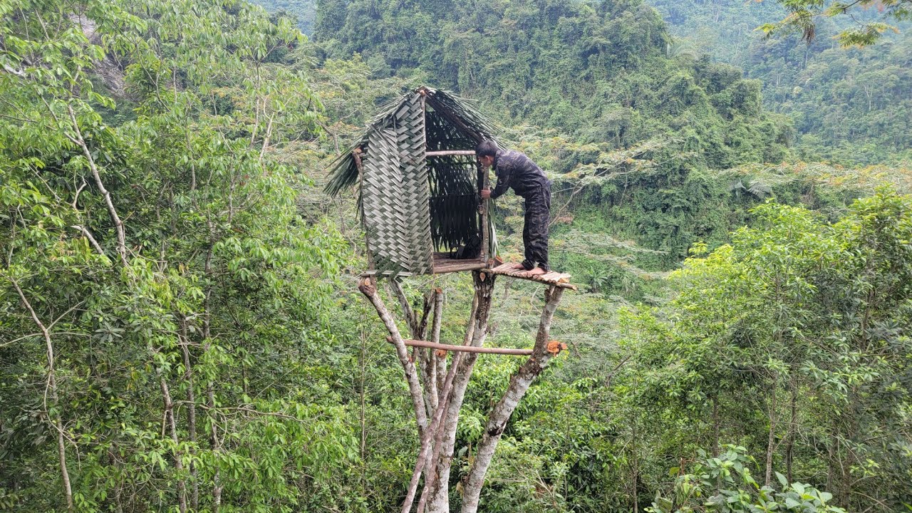 Build a shelter on a 20m high tree, Shelter building skills, Primitive ...