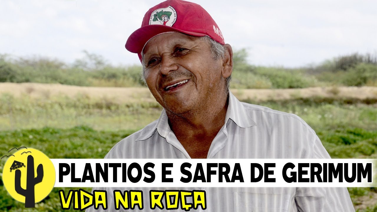 [VIDA NA ROÇA]Visitamos o Rei da Batata Doce: CAPOTE, mostrou Plantios ...