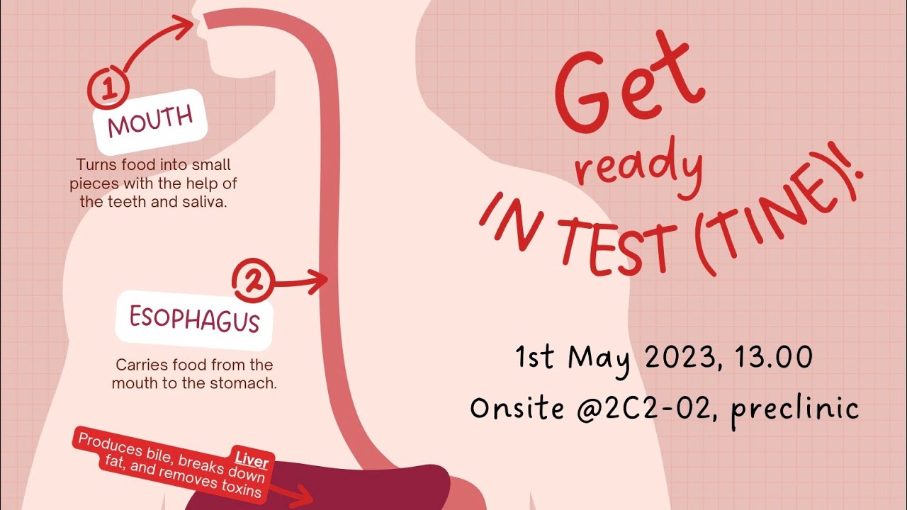 Get Ready In Test (Tine)! | RA57 - YouTube