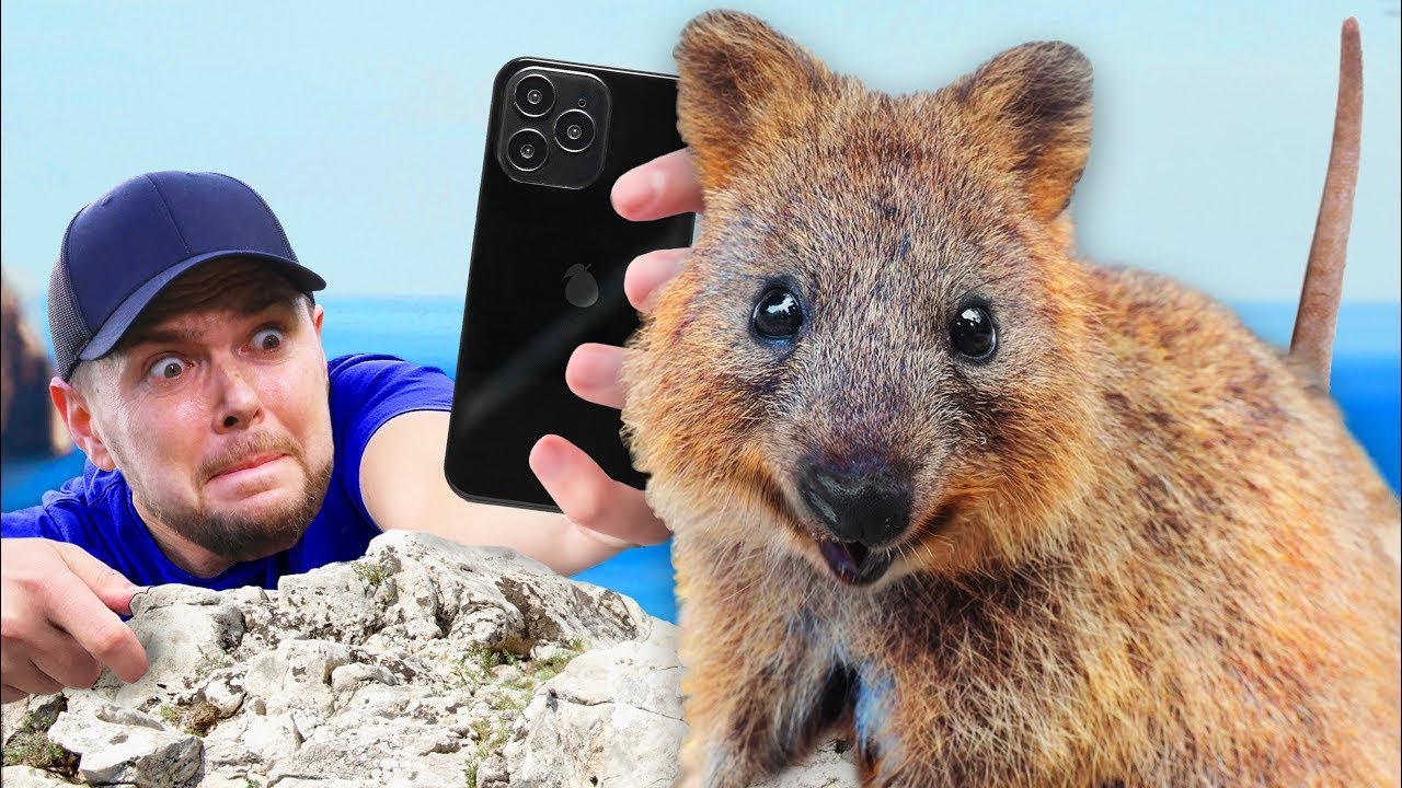 ¡EL INIGUALABLE QUOKKA: Me tomé una selfie con el animal más feliz del ...