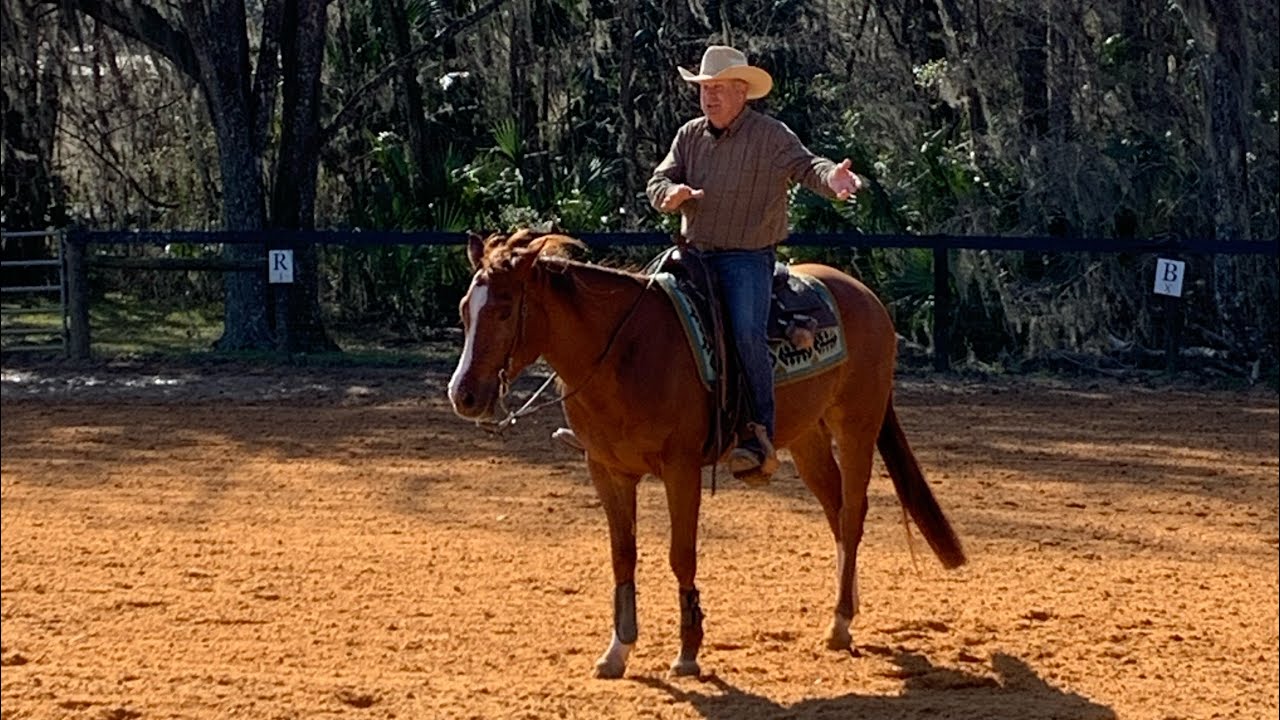 Fencing a reining horse - YouTube
