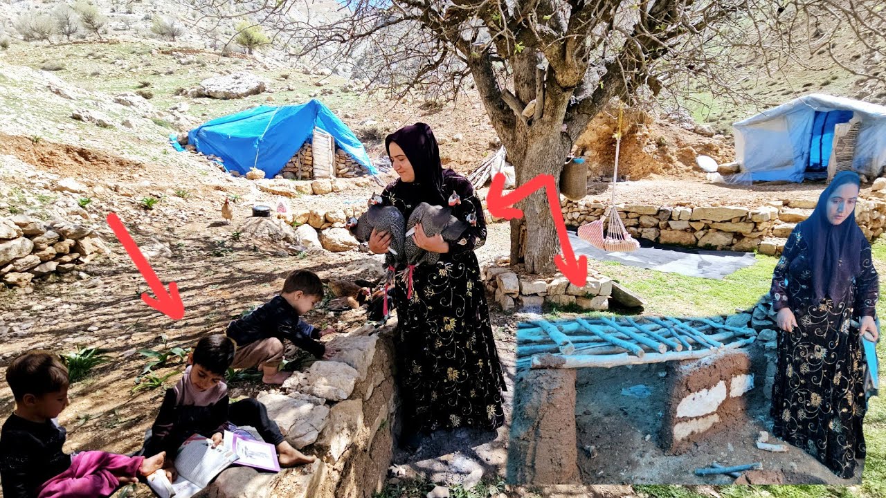 The cameraman brought a horned hen and Zahra began to make a nest for ...