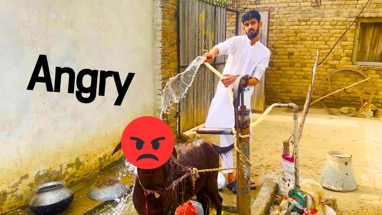 qurbani ke bakre 😊 | Sufyan Ali Vlogs - YouTube