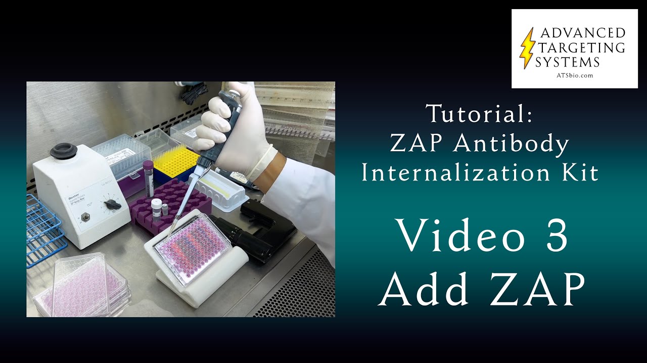 03 Adding ZAP (Japanese) - YouTube