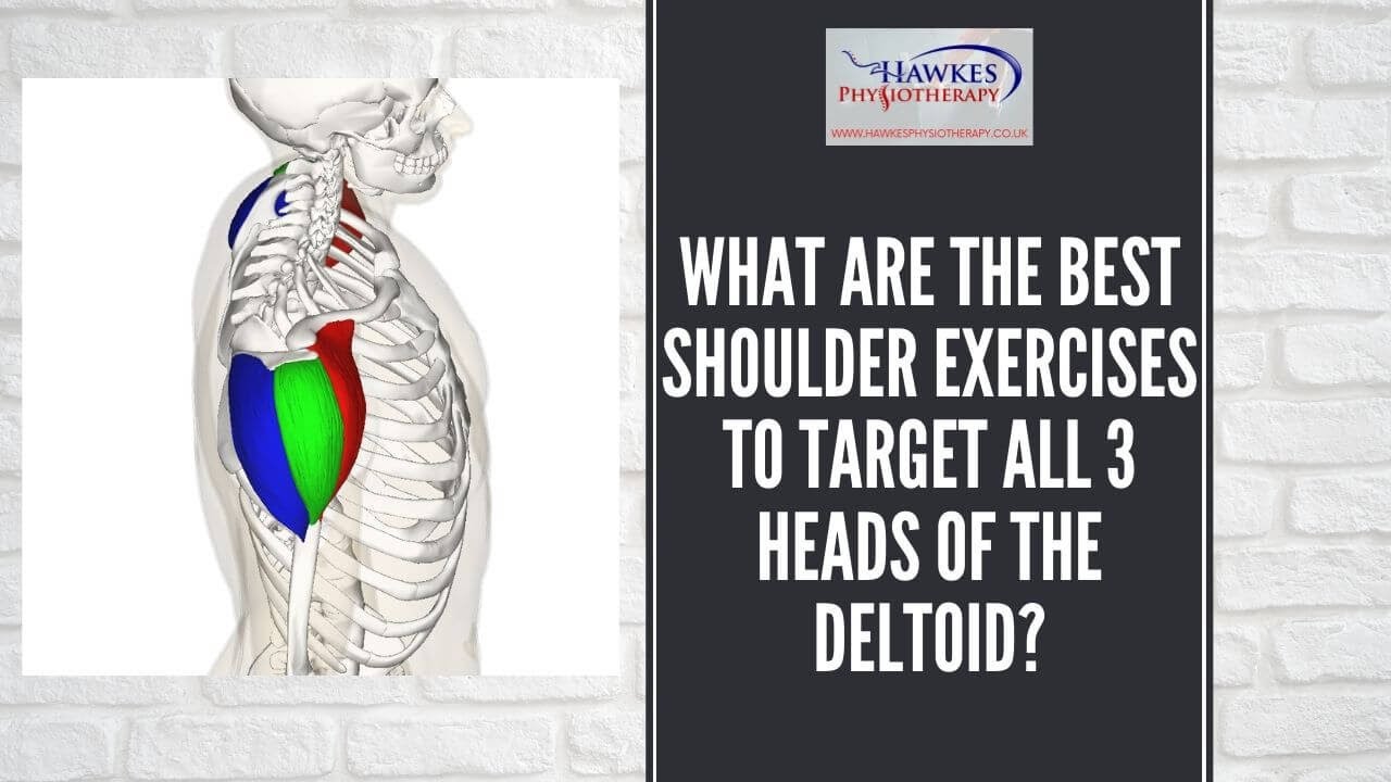 What are the best shoulder exercises to target all 3 heads of the ...