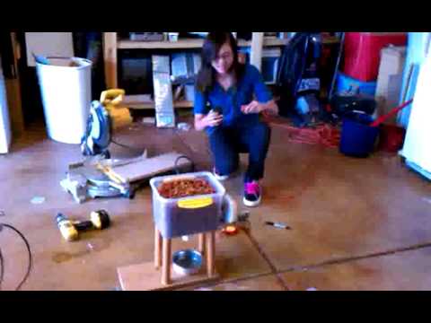 Science fair project : Automatic dog feeder - YouTube