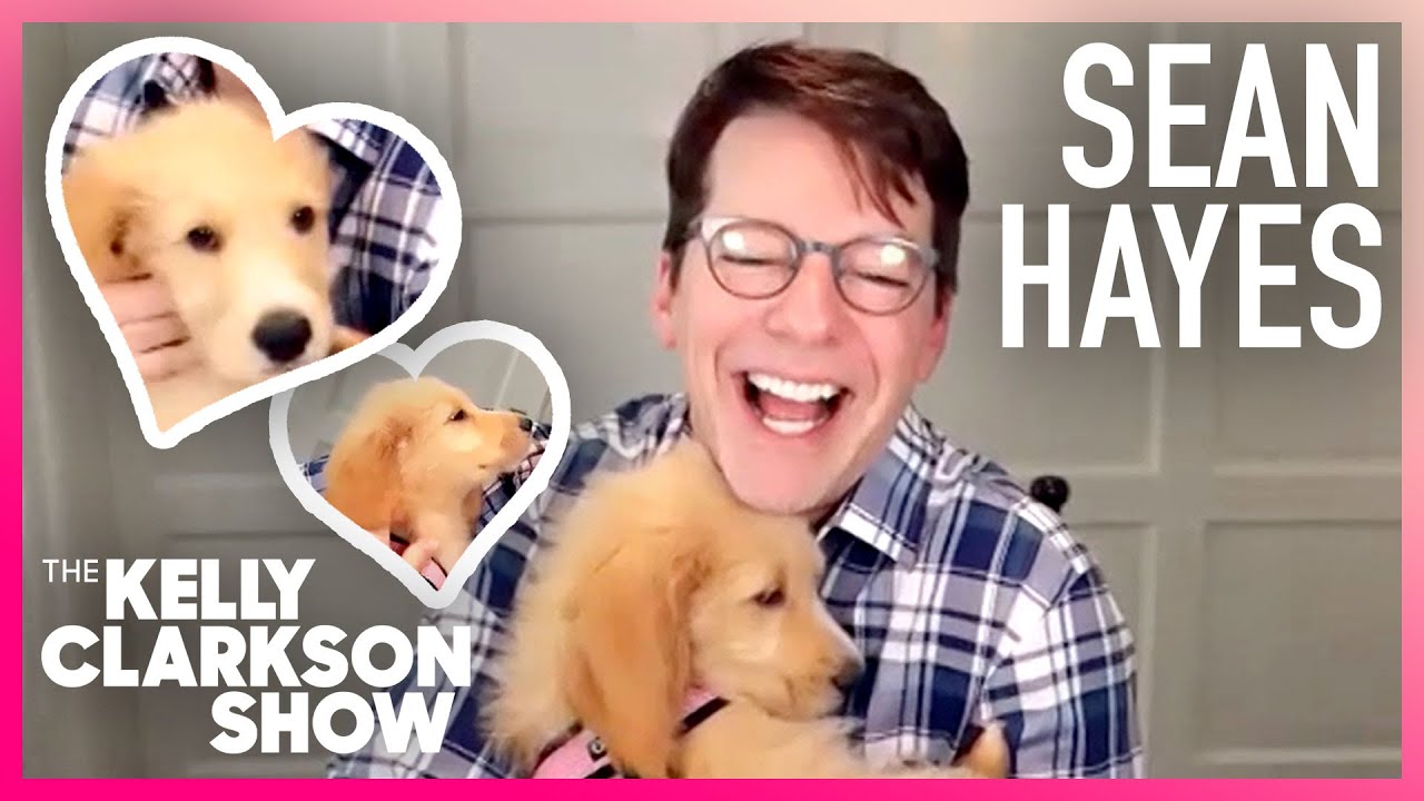 The CUTEST Goldendoodle Dogs Crash Sean Hayes' Interview With Kelly ...