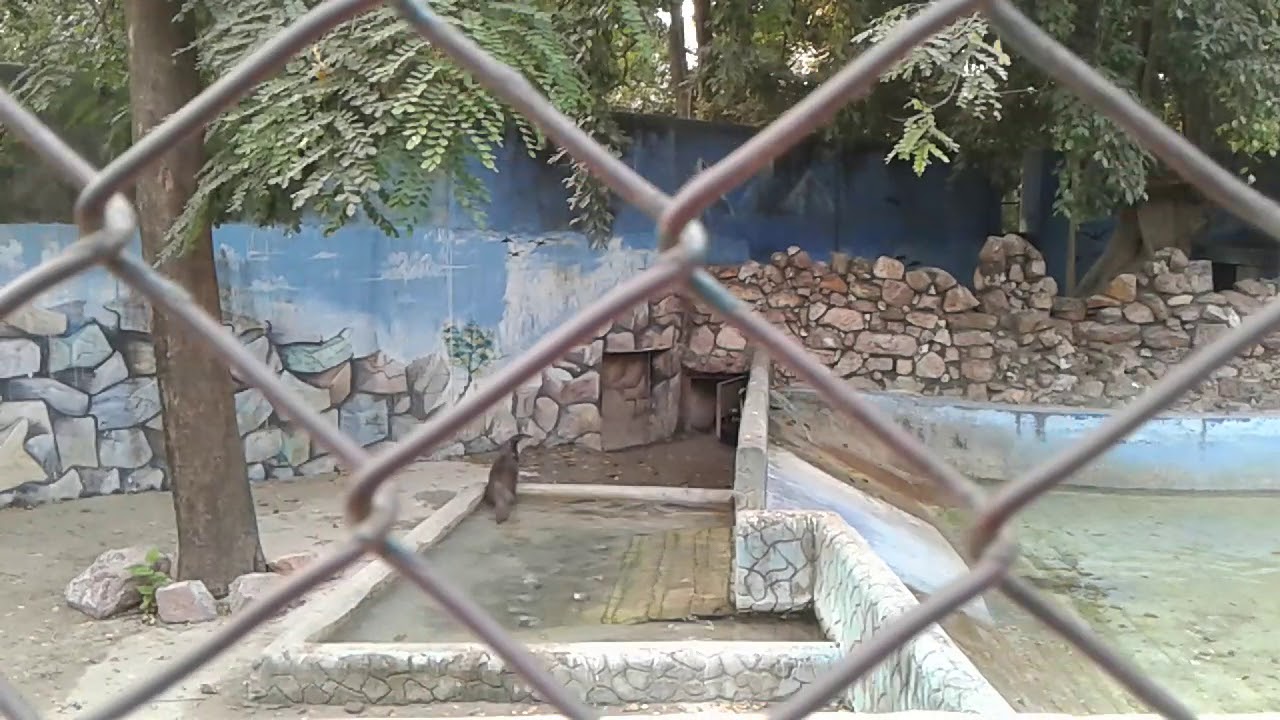 Udbilaw - YouTube