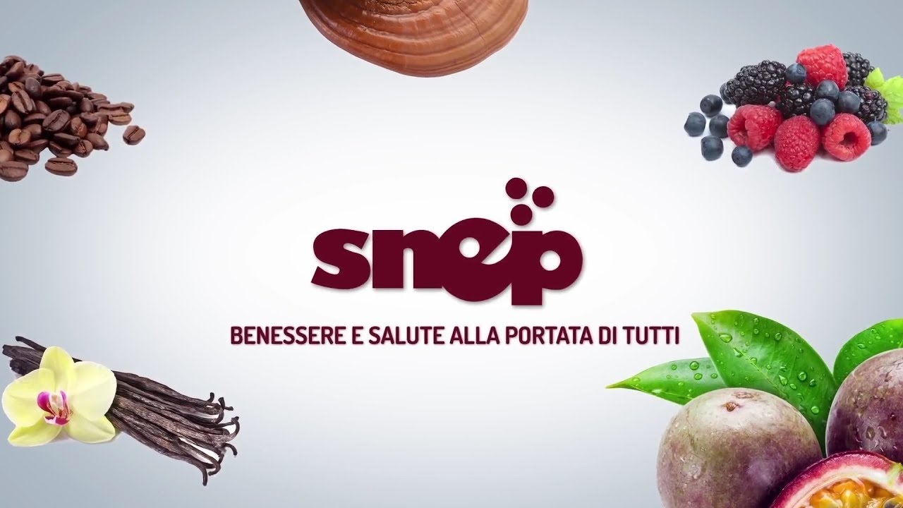 Video Aziendale SNEP - YouTube
