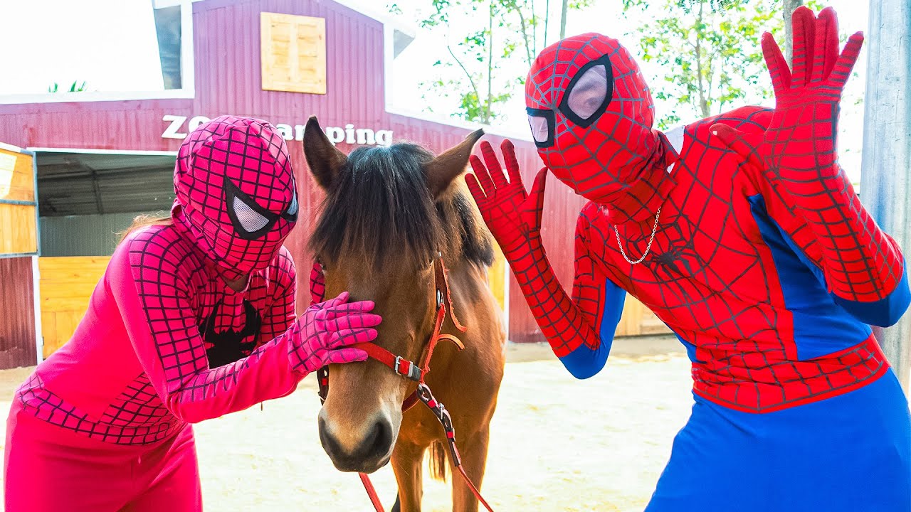Team Spiderman Visits The Zoo And Horse Riding Challenge | Funny ...