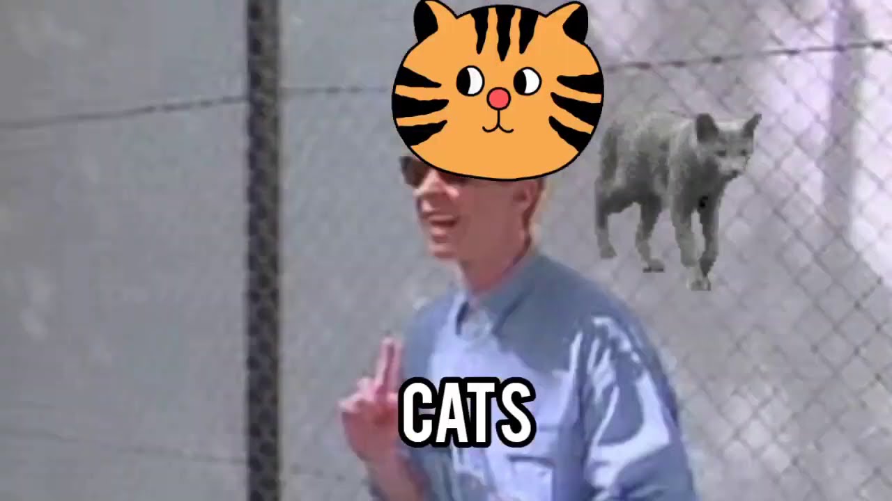 rick astley loves cats - YouTube