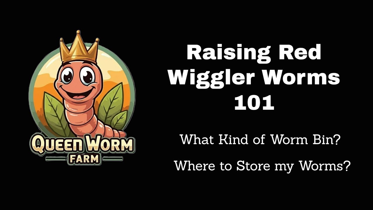 Raising Red Wiggler Worms 101 - What Kind of Bin to Use & Where to ...