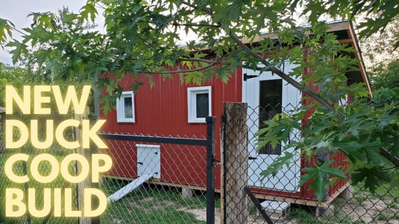 Building the new Duck Barn - YouTube