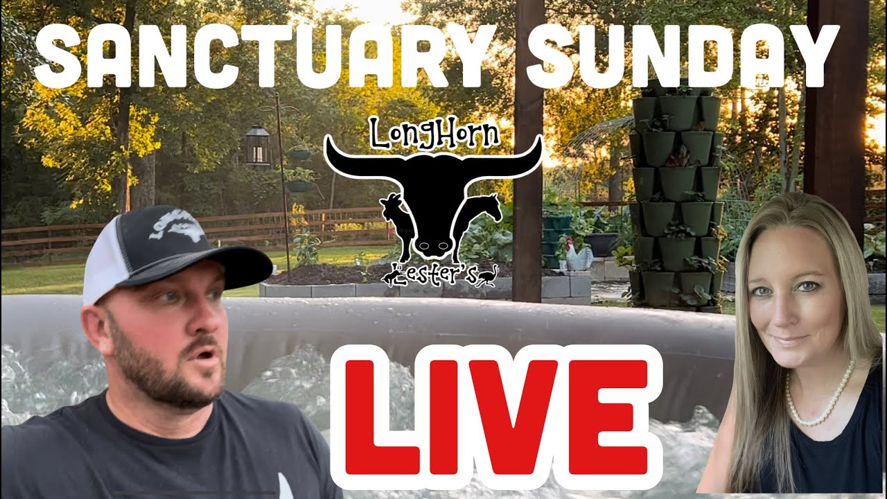 Sanctuary Sunday: LIVE from hottub at LHL - YouTube