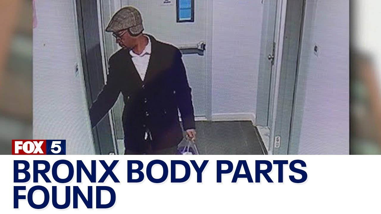 Bronx body parts found: Sources say the suspect Sheldon Johnson, knew ...
