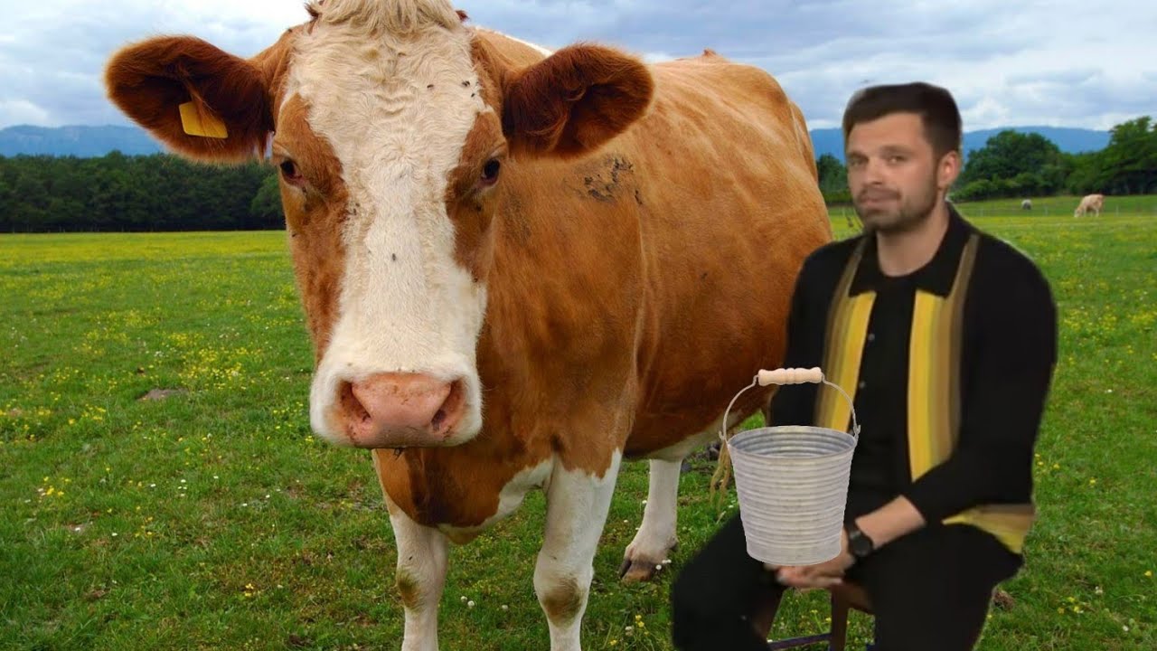 what does the moo cow say? - YouTube