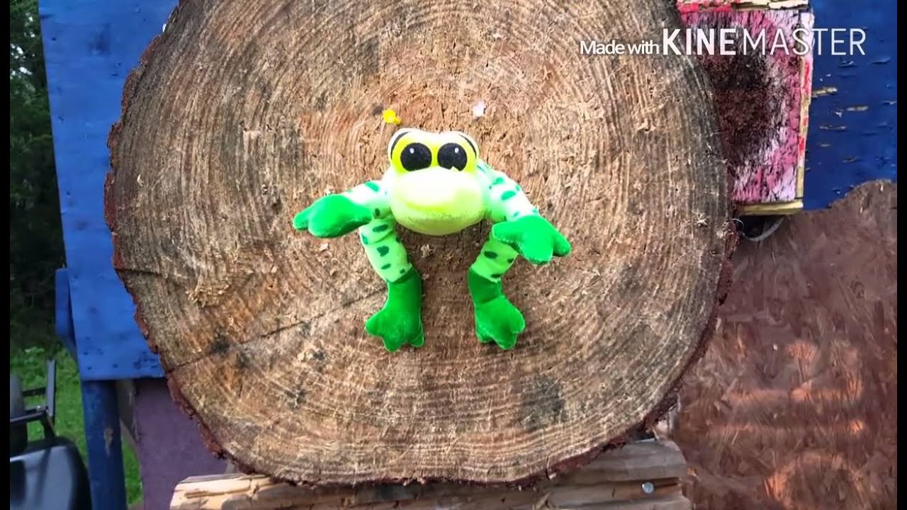 Ribbit the frog - YouTube