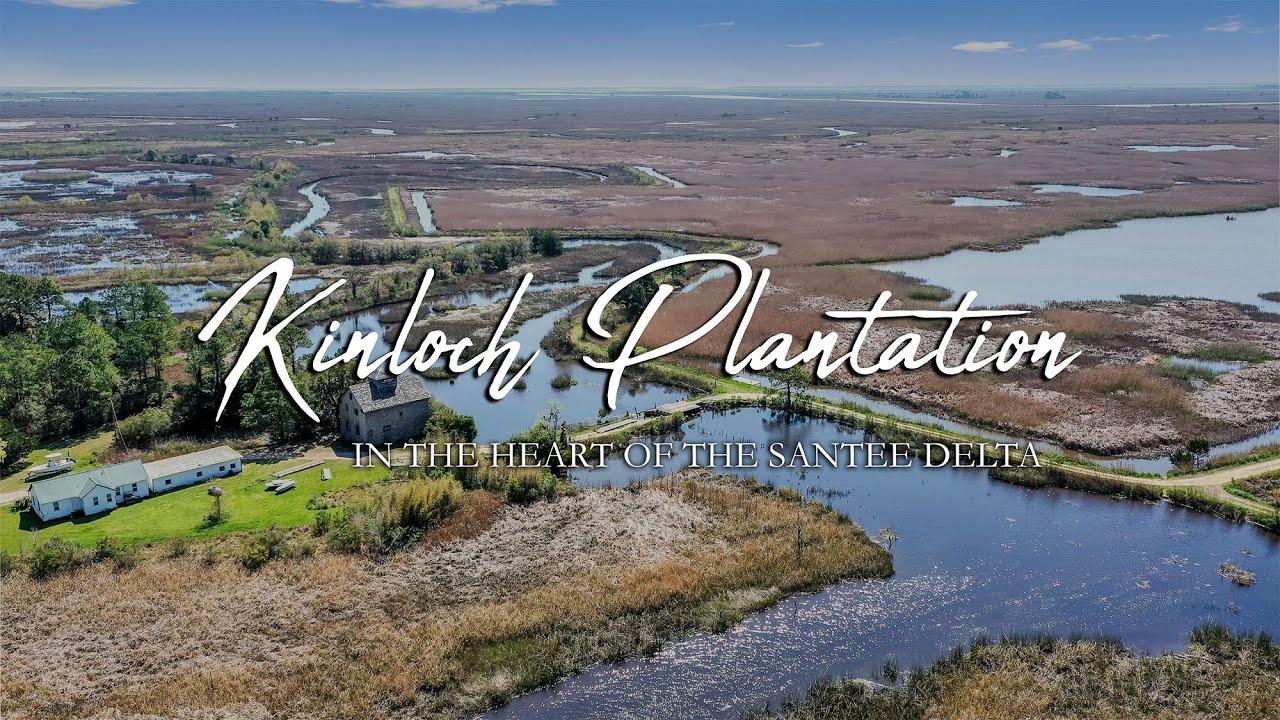 Where a Mighty River Meets the Sea: Kinloch Plantation in the Heart of ...