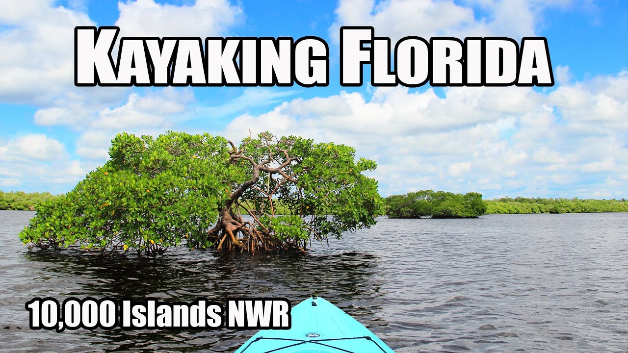 Kayaking Florida: Ten Thousand Islands National Wildlife Refuge - YouTube