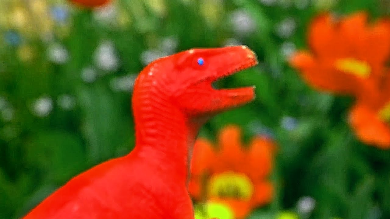 The Flowering Inferno - YouTube