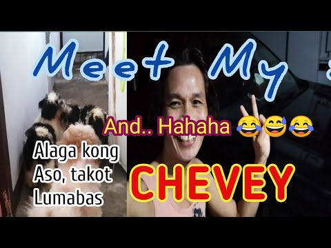 Ganda ng sasakyan na naka-park🚘🚘 plus My dog andun ang takot lumabas pero nag-enjoy sila talaga🐕🐕🐩
